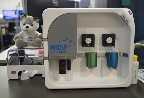 Flow Cytometry | Cell Sorters | flow